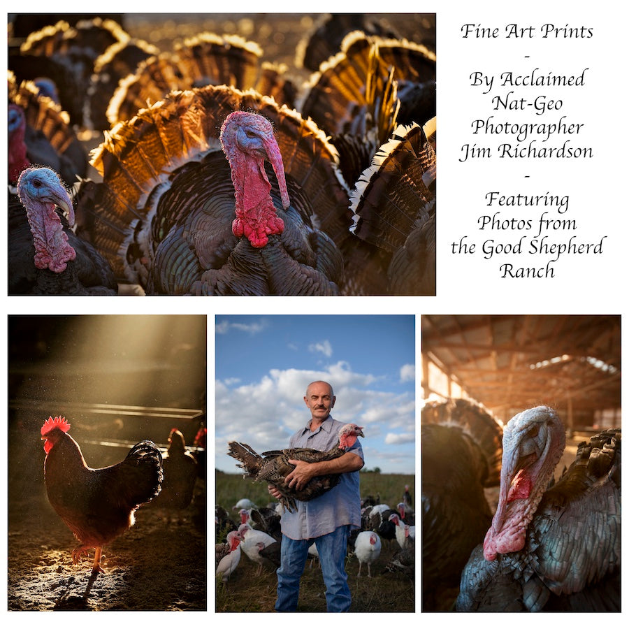 GSC Fine Art Prints